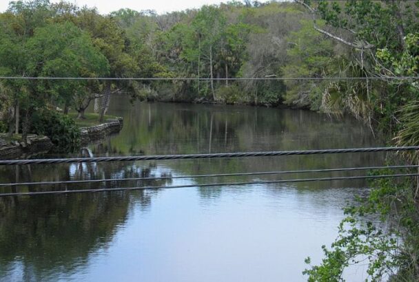 15 Alligator Hotspots You Should Know About in Florida - City State Zip ...