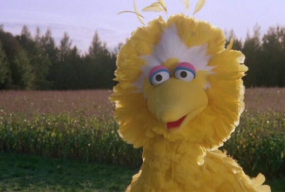 15 Puppet Movies That Will Spark Your Child's Imagination - City State ...