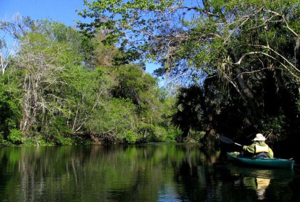 15 Alligator Hotspots You Should Know About in Florida - City State Zip ...