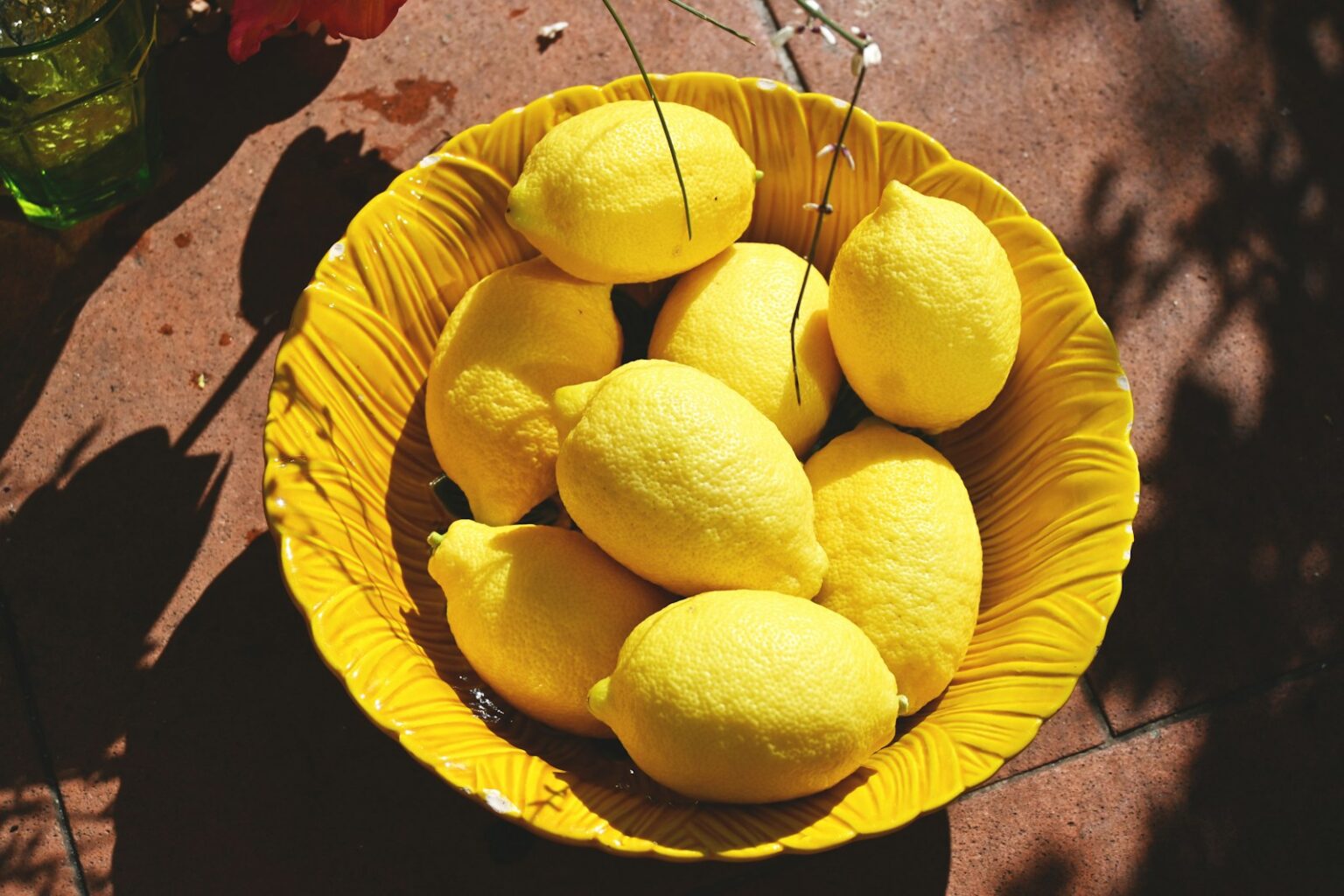 15 Interesting Facts About Lemons - City State Zip Code