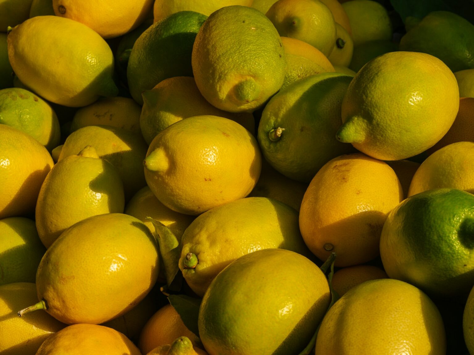 15 Interesting Facts About Lemons - City State Zip Code