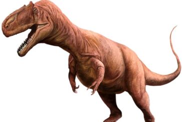 10 Predators That Were A Match For The Mighty T-Rex - City State Zip Code