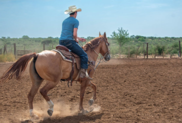 20 Timeless Cowboy Sayings That Offer Life Lessons - City State Zip Code