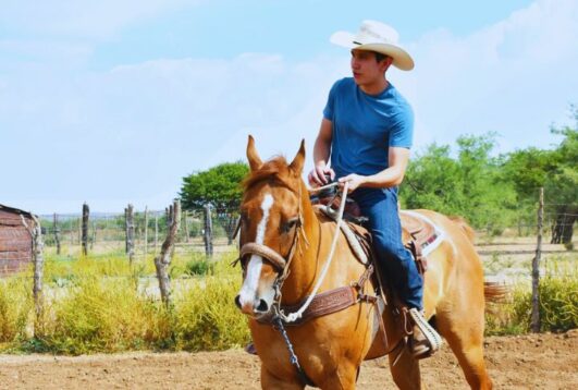 20 Timeless Cowboy Sayings That Offer Life Lessons - City State Zip Code