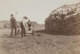 10 Things Most People Don’t Know About The Mysterious Sage Wall In ...