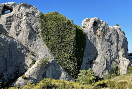 10 Things Most People Don’t Know About The Mysterious Sage Wall In ...