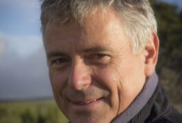 10 Things Most People Don’t Know About The Mysterious Sage Wall In ...