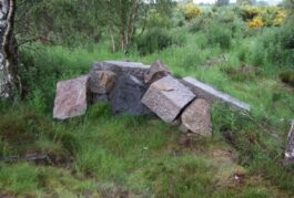 10 Things Most People Don’t Know About The Mysterious Sage Wall In ...