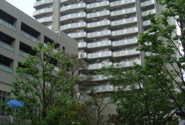 10 Key Factors Behind Tokyo’s Population Boom - City State Zip Code