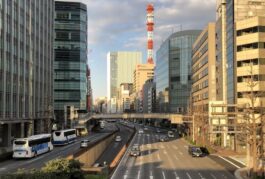 10 Key Factors Behind Tokyo’s Population Boom - City State Zip Code