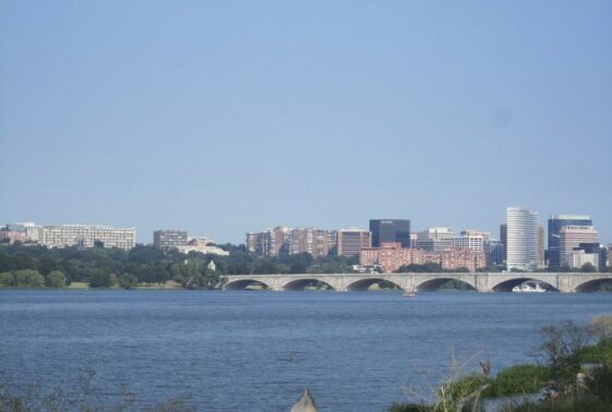 10 American Rivers Where Sharks Have Made Surprising Journeys Inland ...